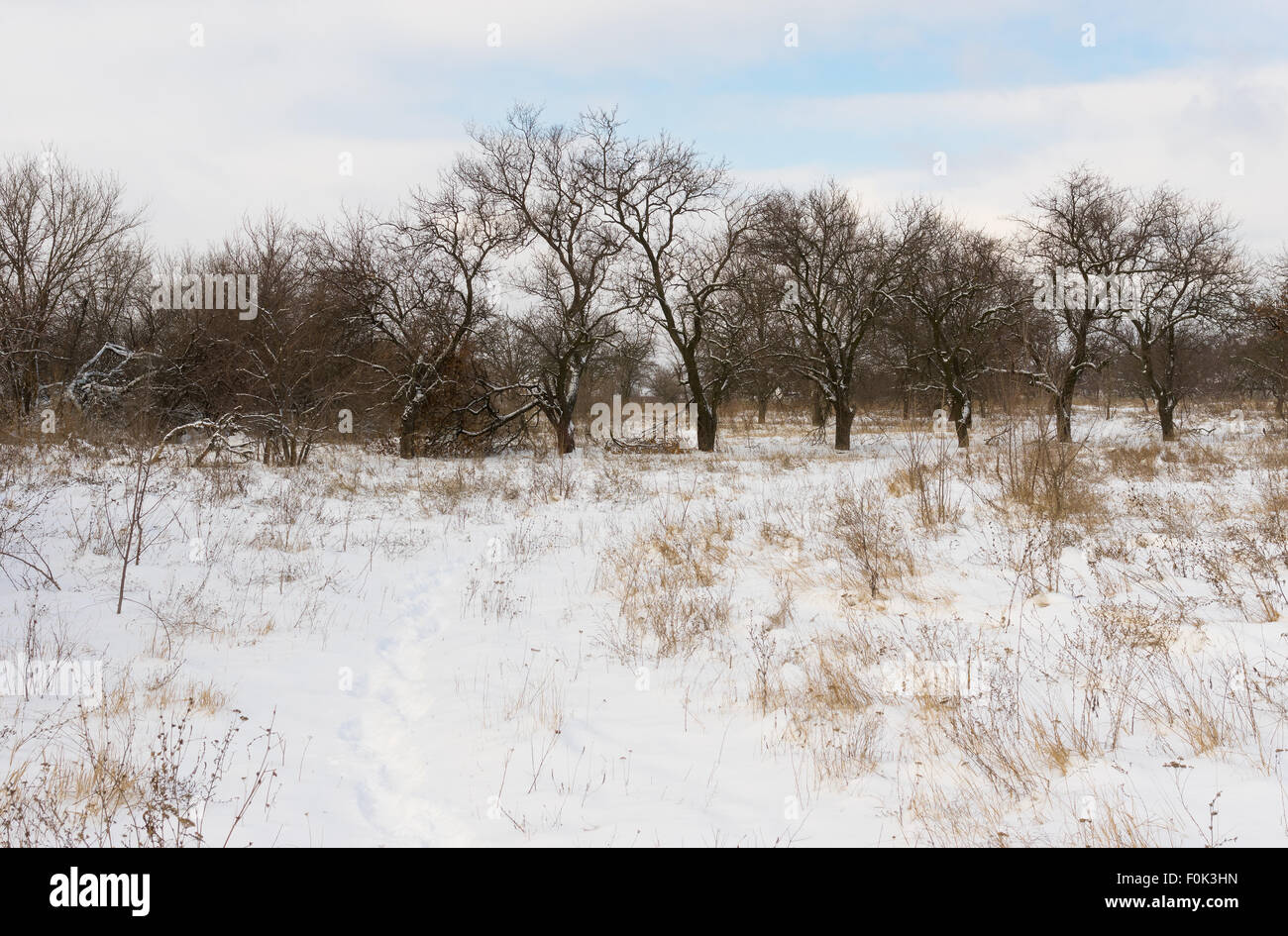Winter landscape in Ukrainian rural area Stock Photo - Alamy
