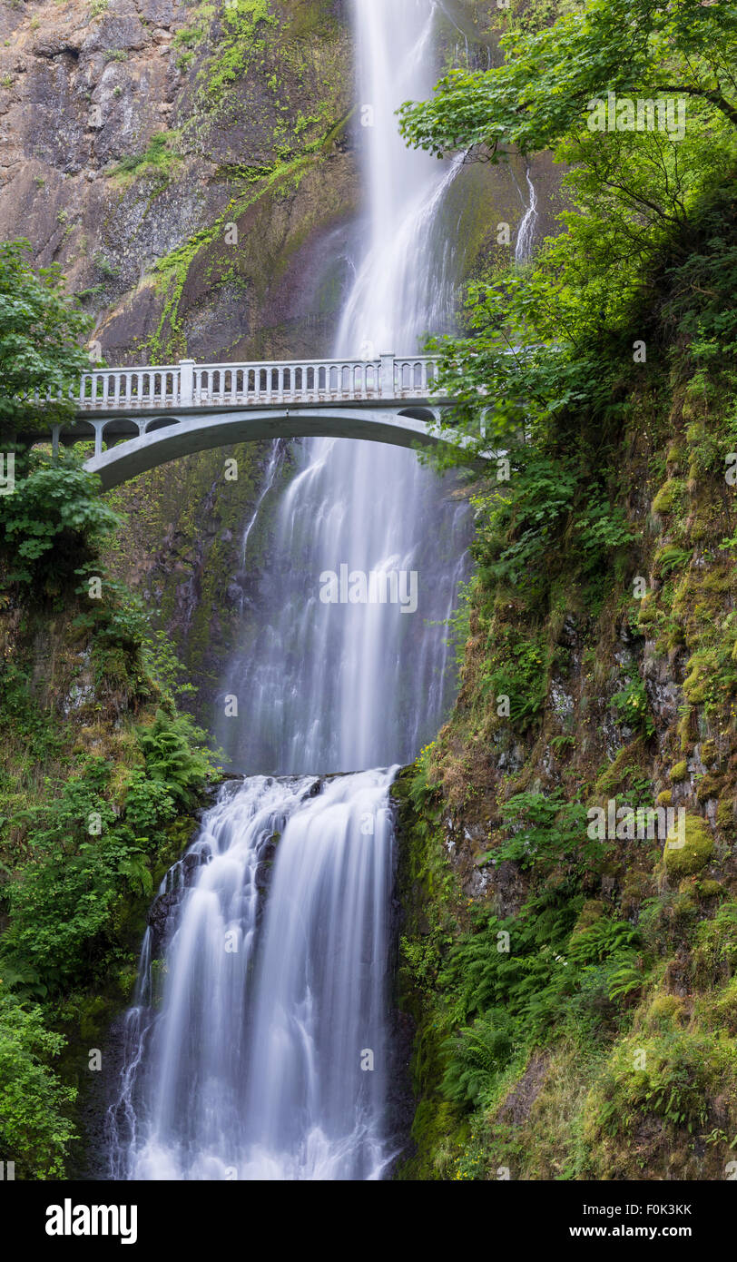 A footbridge arches over Multnomah Falls, on of the tallest waterfalls ...