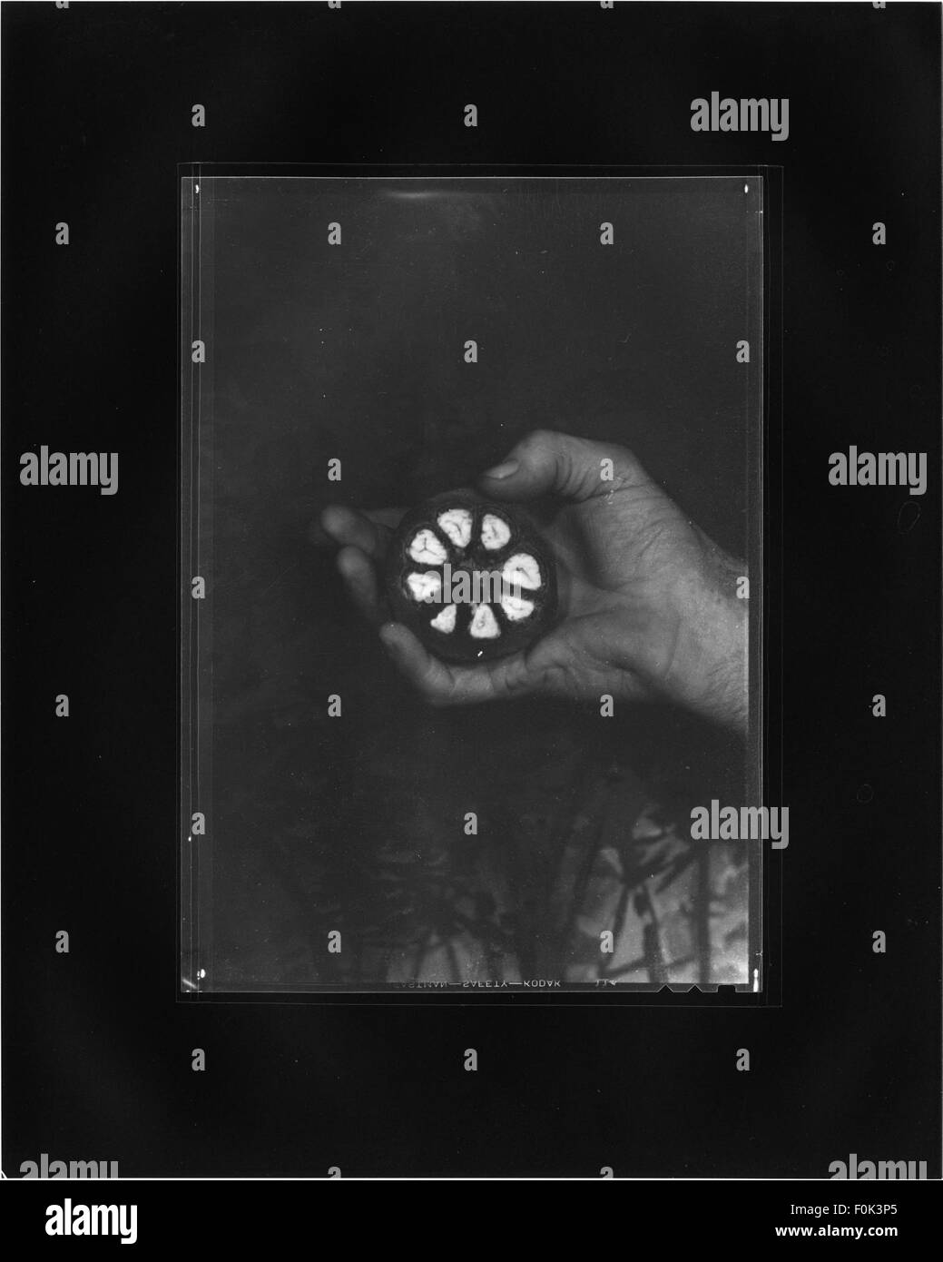 Mr Latimer, 1938 Stock Photo - Alamy