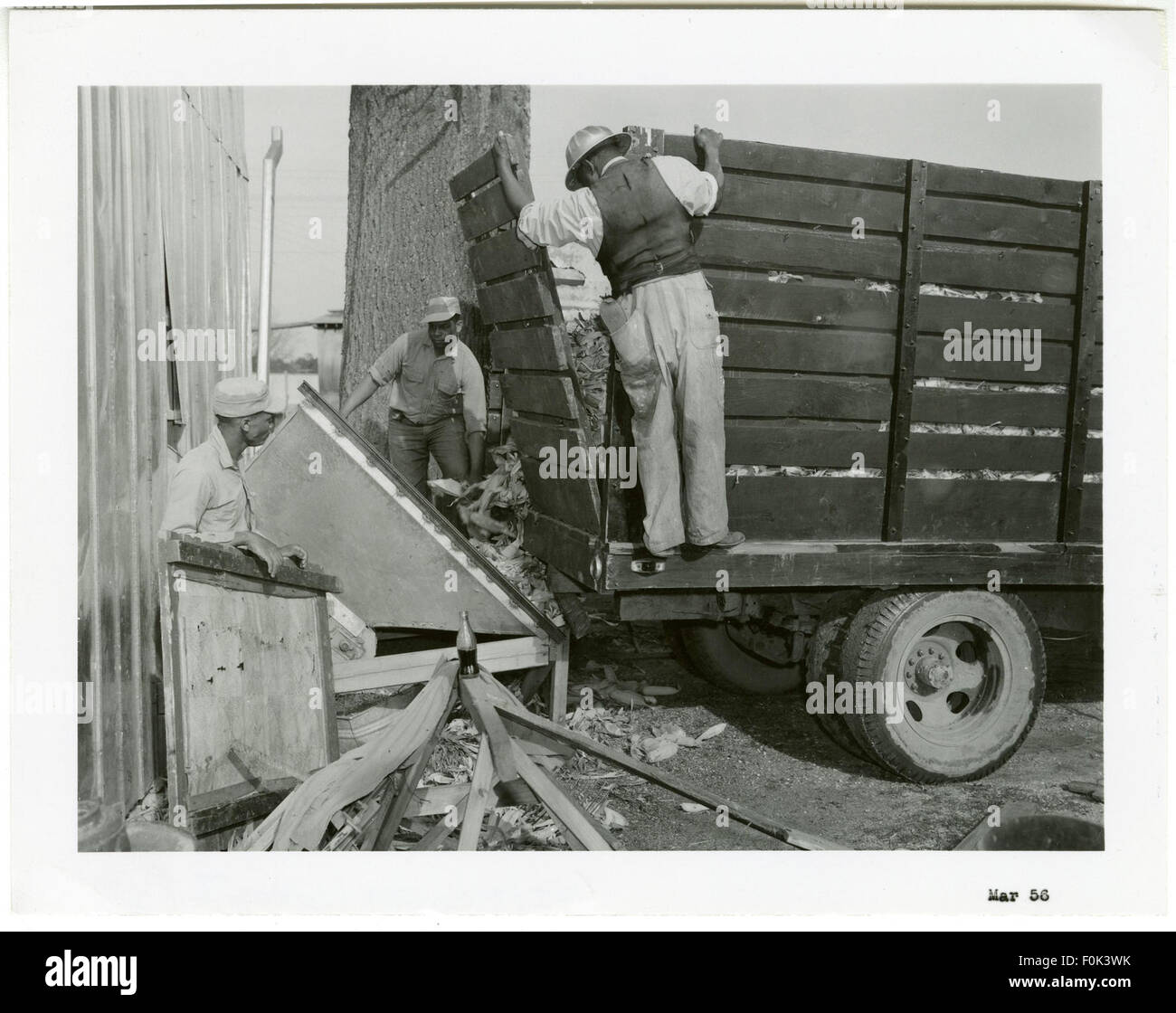 The Clarke County Co-op is a local cooperative providing essential ...