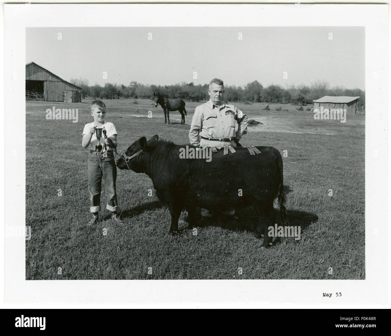 The Clay County Co-op is a cooperative serving the agricultural ...