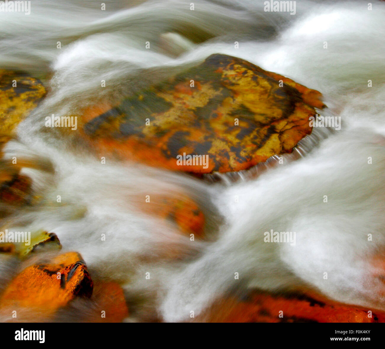 Swiftly hi-res stock photography and images - Alamy