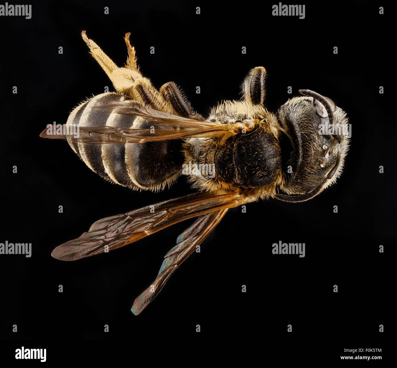 Fort mantanzas park hi-res stock photography and images - Alamy