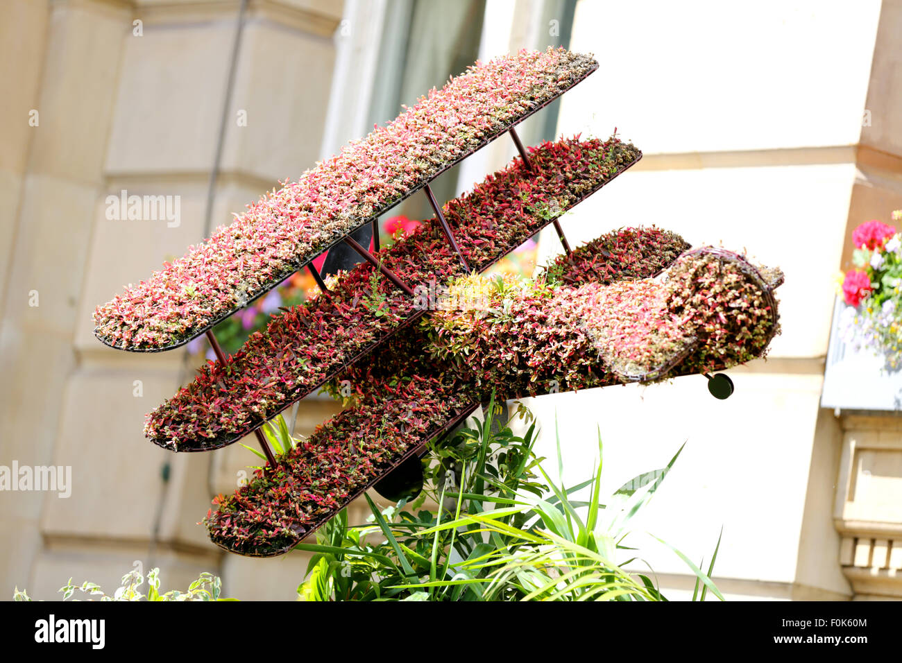 The WW1 Remembered flower display, part of the Birmingham City centre ...