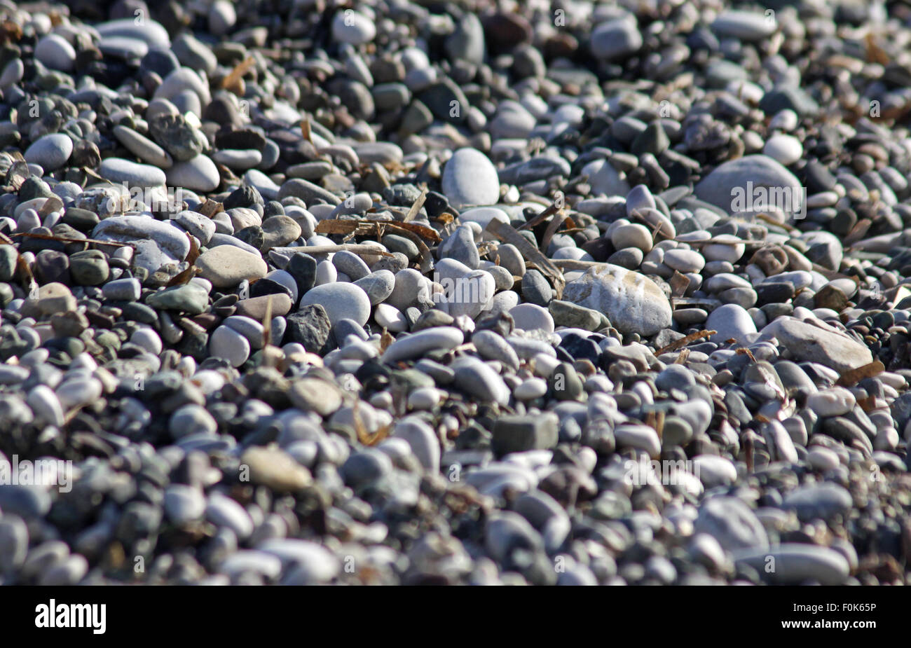 Pebbles on beach new zealand hi-res stock photography and images - Alamy