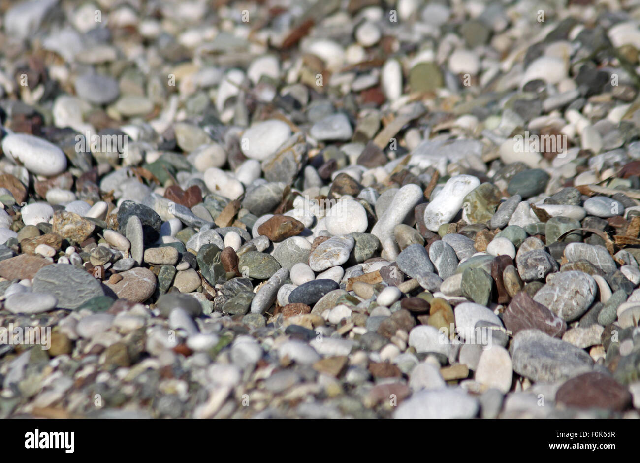 Pebbles on beach new zealand hi-res stock photography and images - Alamy
