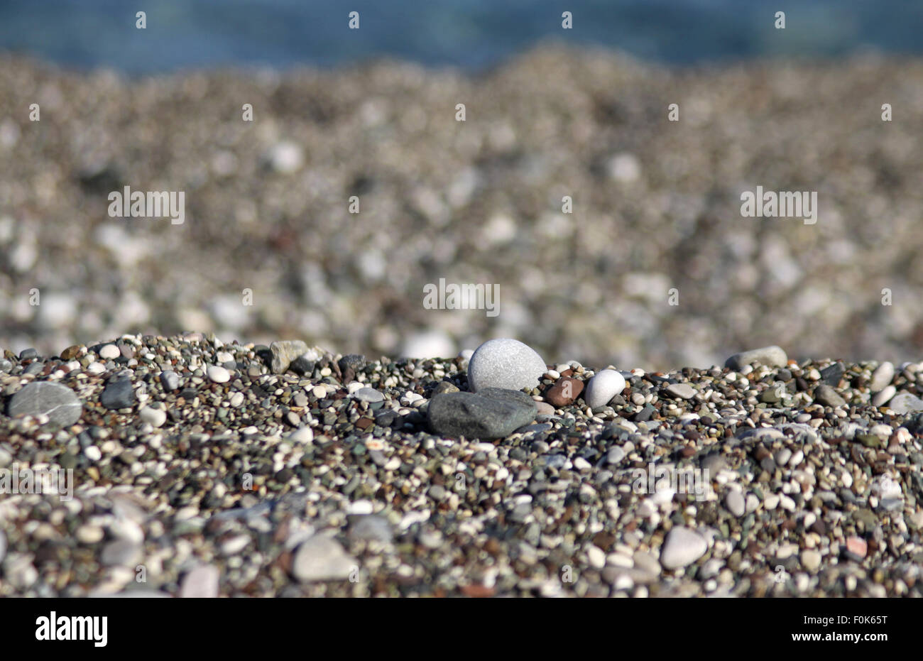 Close-up pebbles on the beach Stock Photo - Alamy