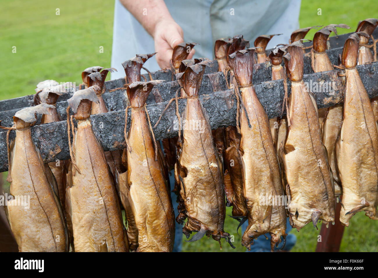 Cooked Haddock fish Smokies, smoked preserved speciality seafood, at ...