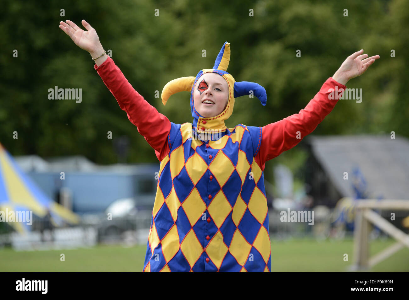 Jester costume hi-res stock photography and images - Alamy