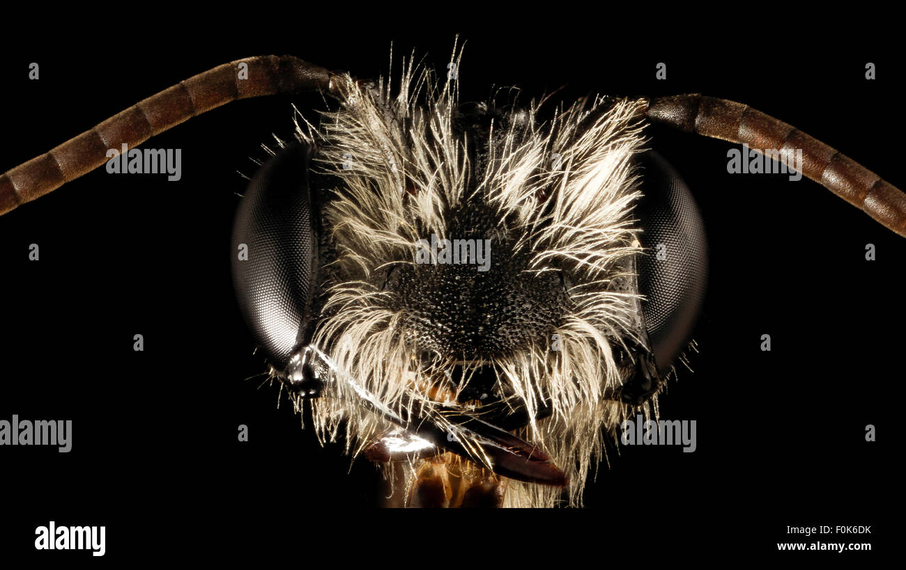 Perplexa hi-res stock photography and images - Alamy