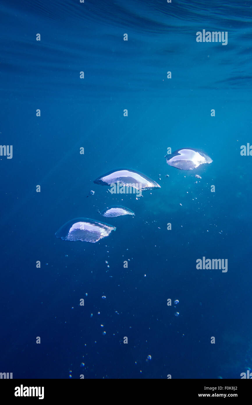 Underwater bubbles ocean hi-res stock photography and images - Alamy
