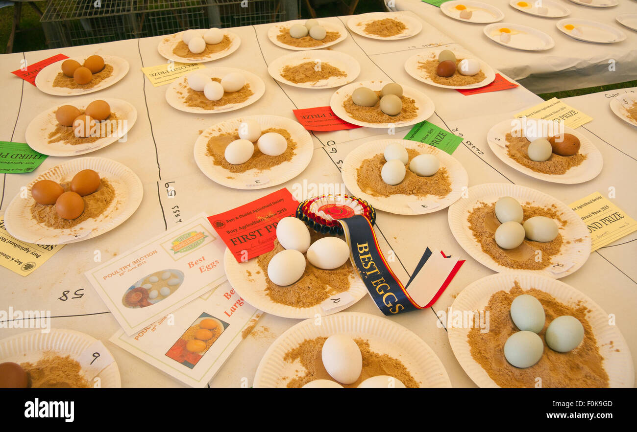 Prize winning eggs on display at the Bury Agricultural Show in ...