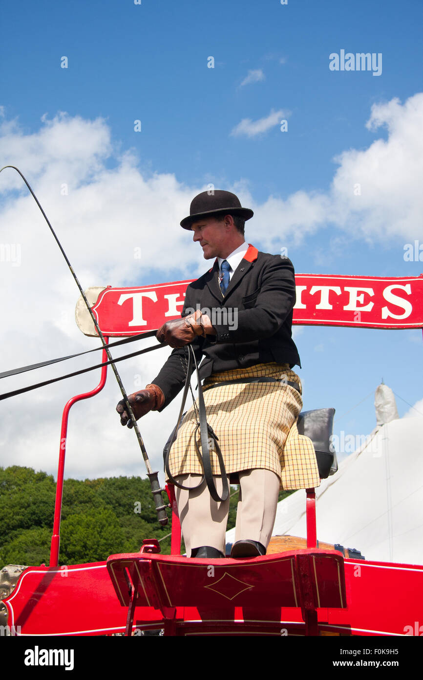 Driving the Thwaites horse-drawn beer dray on show at the Bury ...