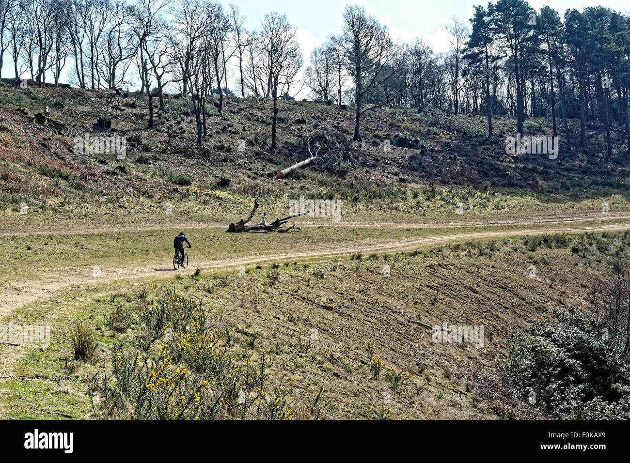 Course of the old A3 trunk road on the Devils Punchbowl Hindhead Surrey ...