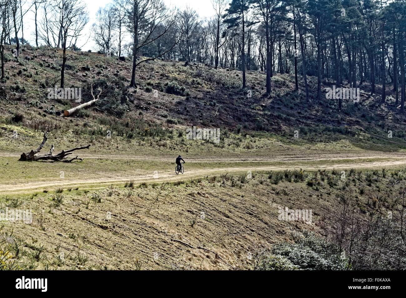 Hindhead old a3 road hi-res stock photography and images - Alamy