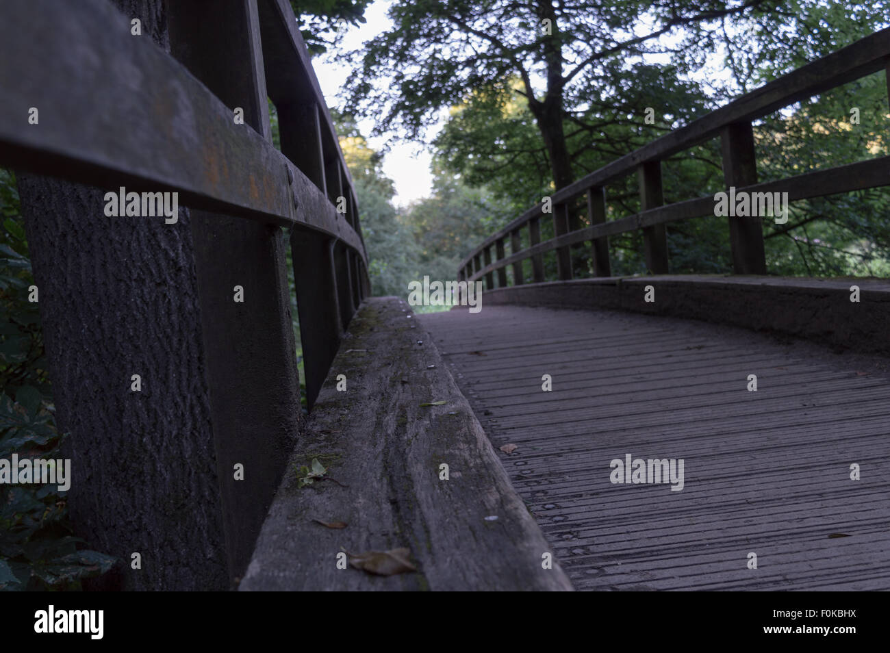 A low angle shot of a wooden footbridge for walkers. Green trees ...