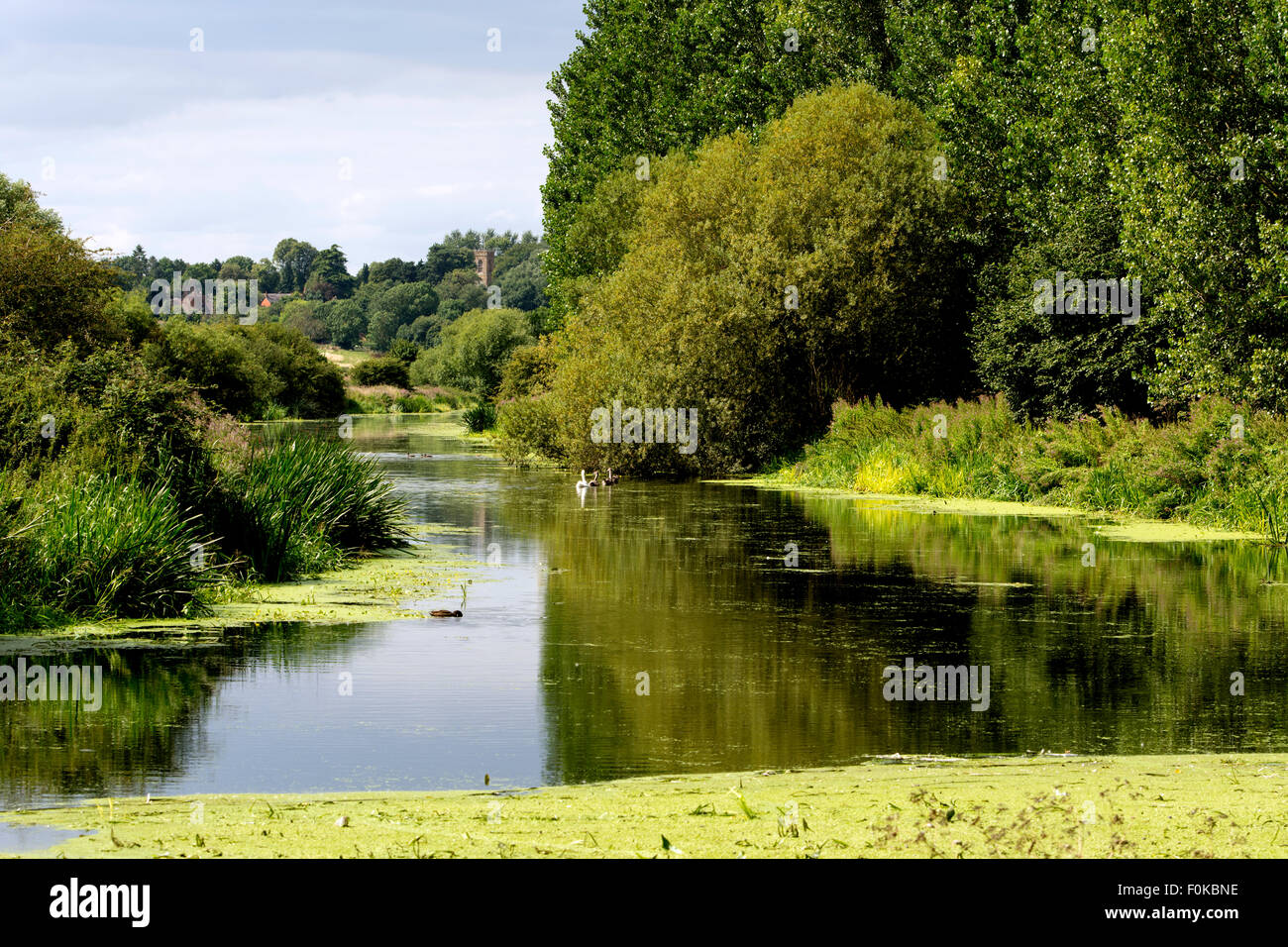River nene hi-res stock photography and images - Alamy