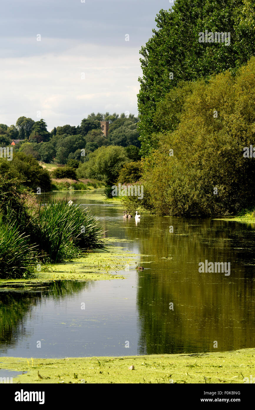 The River Nene near Whiston Lock, Northamptonshire, England, UK Stock ...