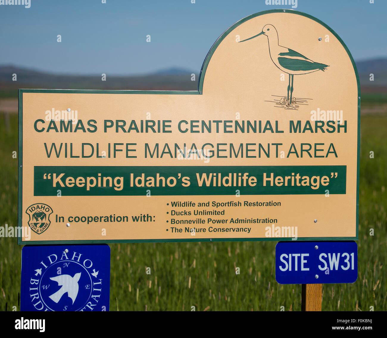 Camas prairie hi-res stock photography and images - Alamy