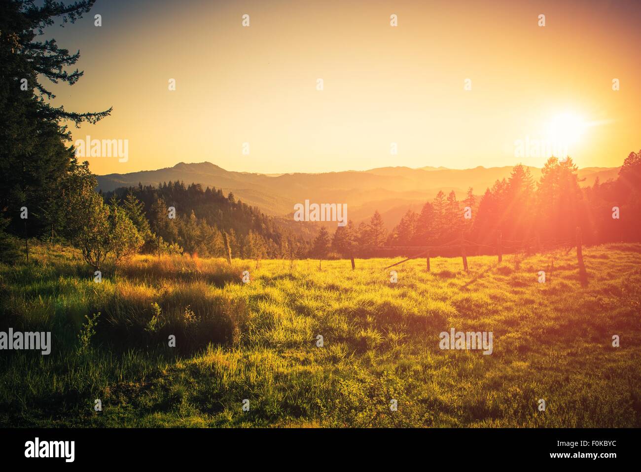 Summer in Northern California. Eureka, California Countryside. Nature ...