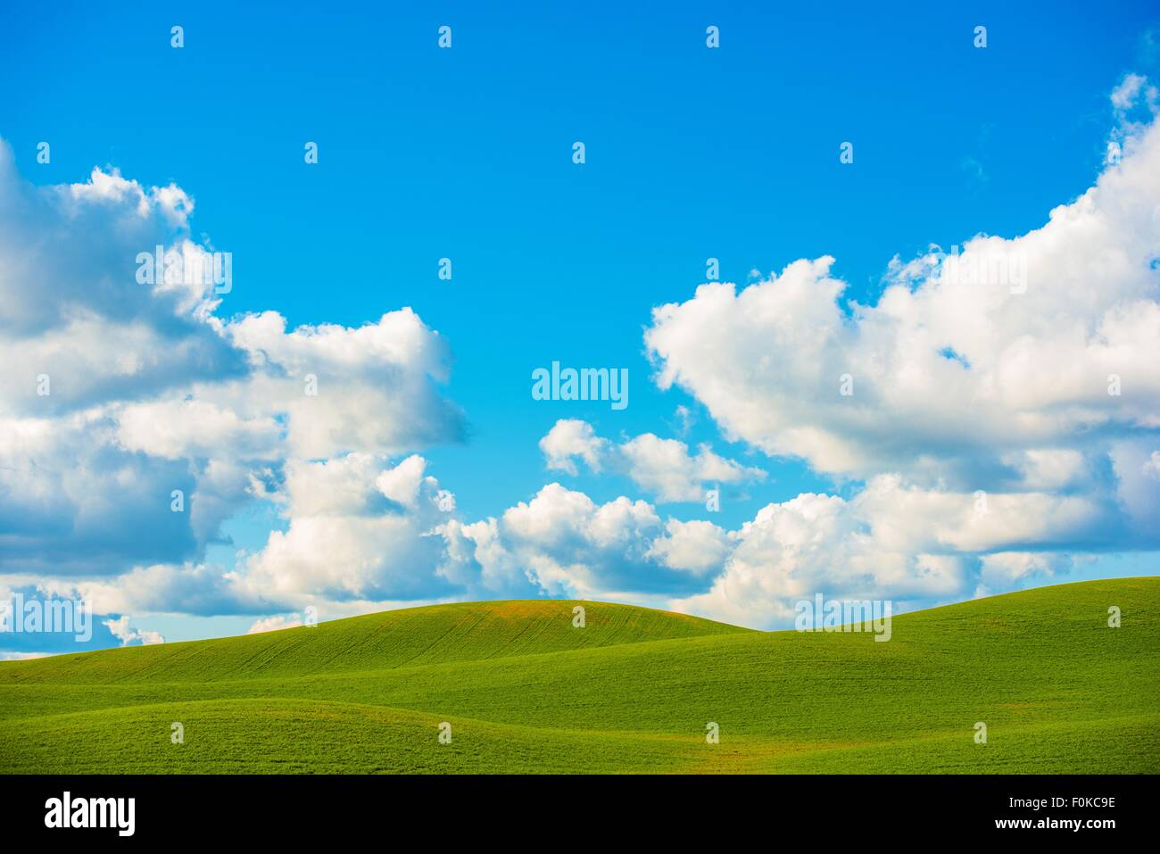 Scenic Meadow Photo Background. Green Beautiful Meadow Buttes and the ...