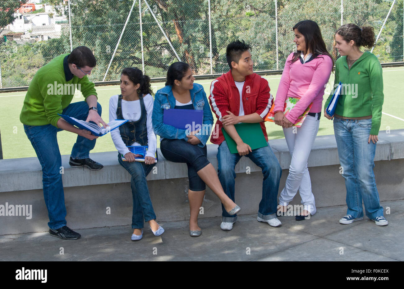 Senior school ethnic group outdoors Group of six senior teenagers 15-17 ...