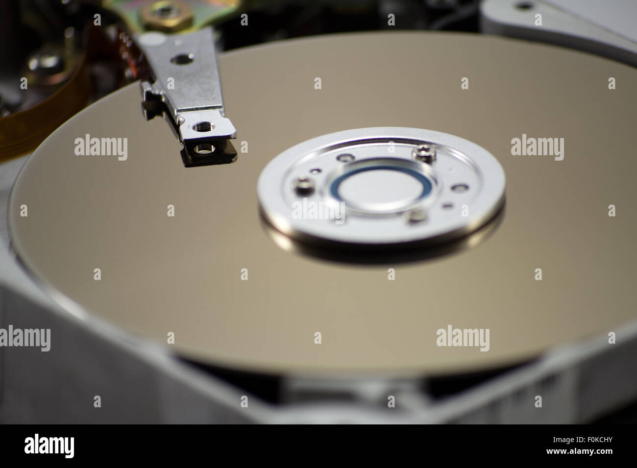 Hard head hi-res stock photography and images - Alamy