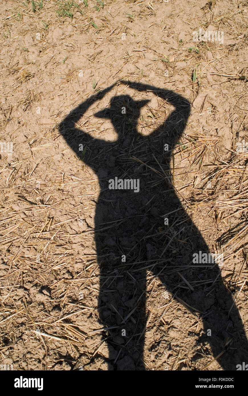 Shadow Play Man with Hat Stock Photo - Alamy