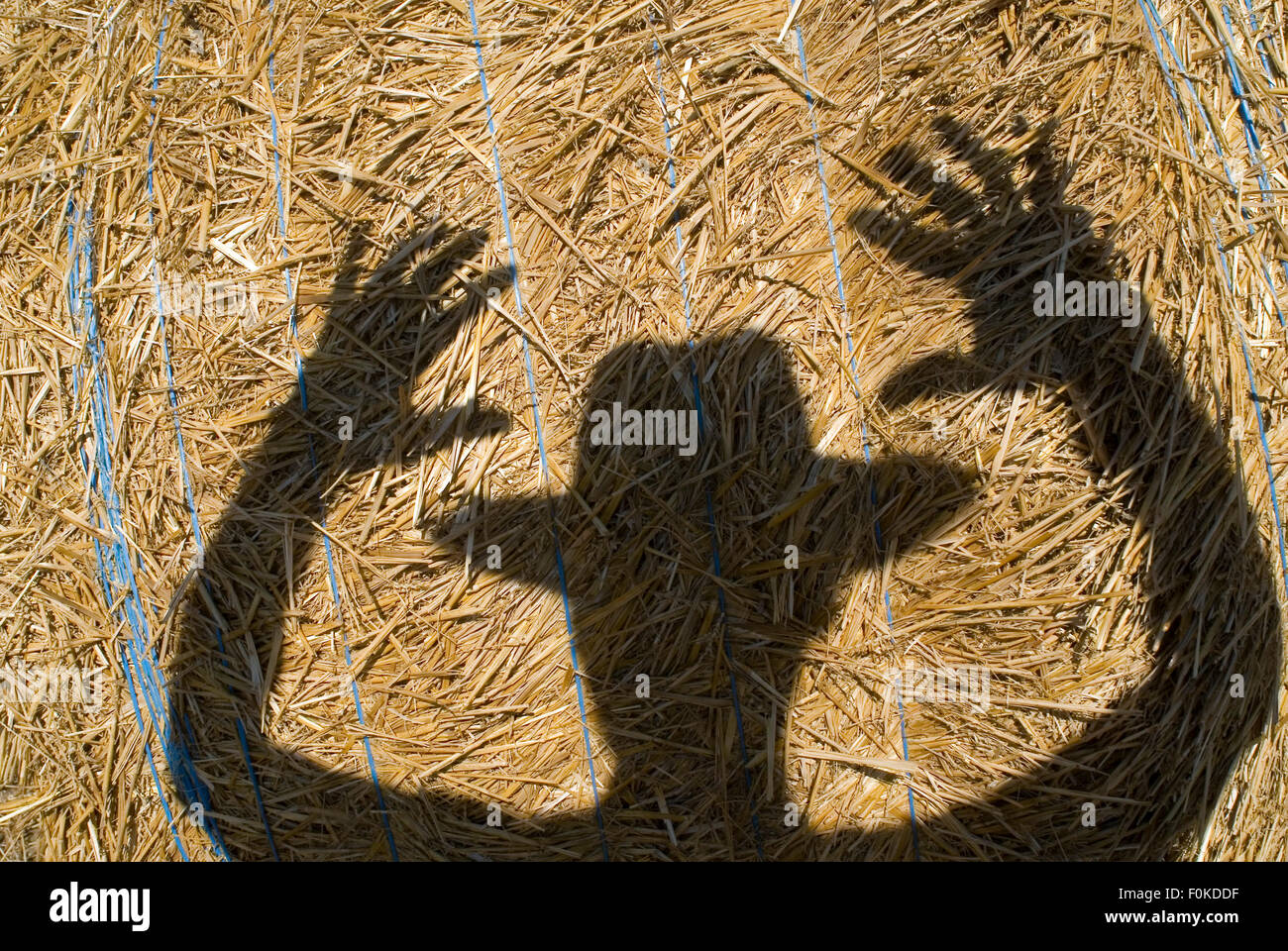 Shadow Play Man with Hat Stock Photo - Alamy