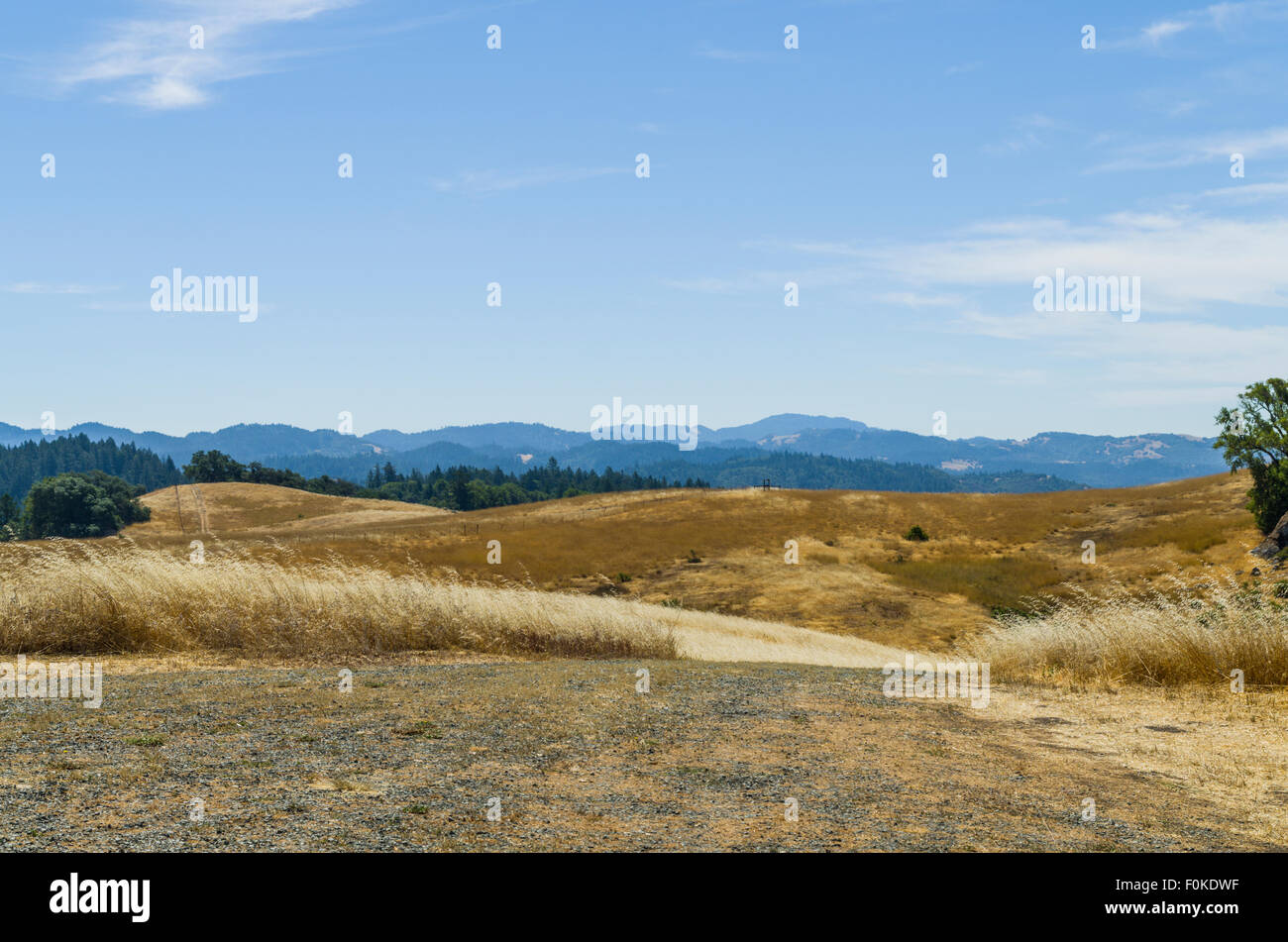 Pepperwood Presserve Santa Rosa and Healdsburg Sonoma County California ...