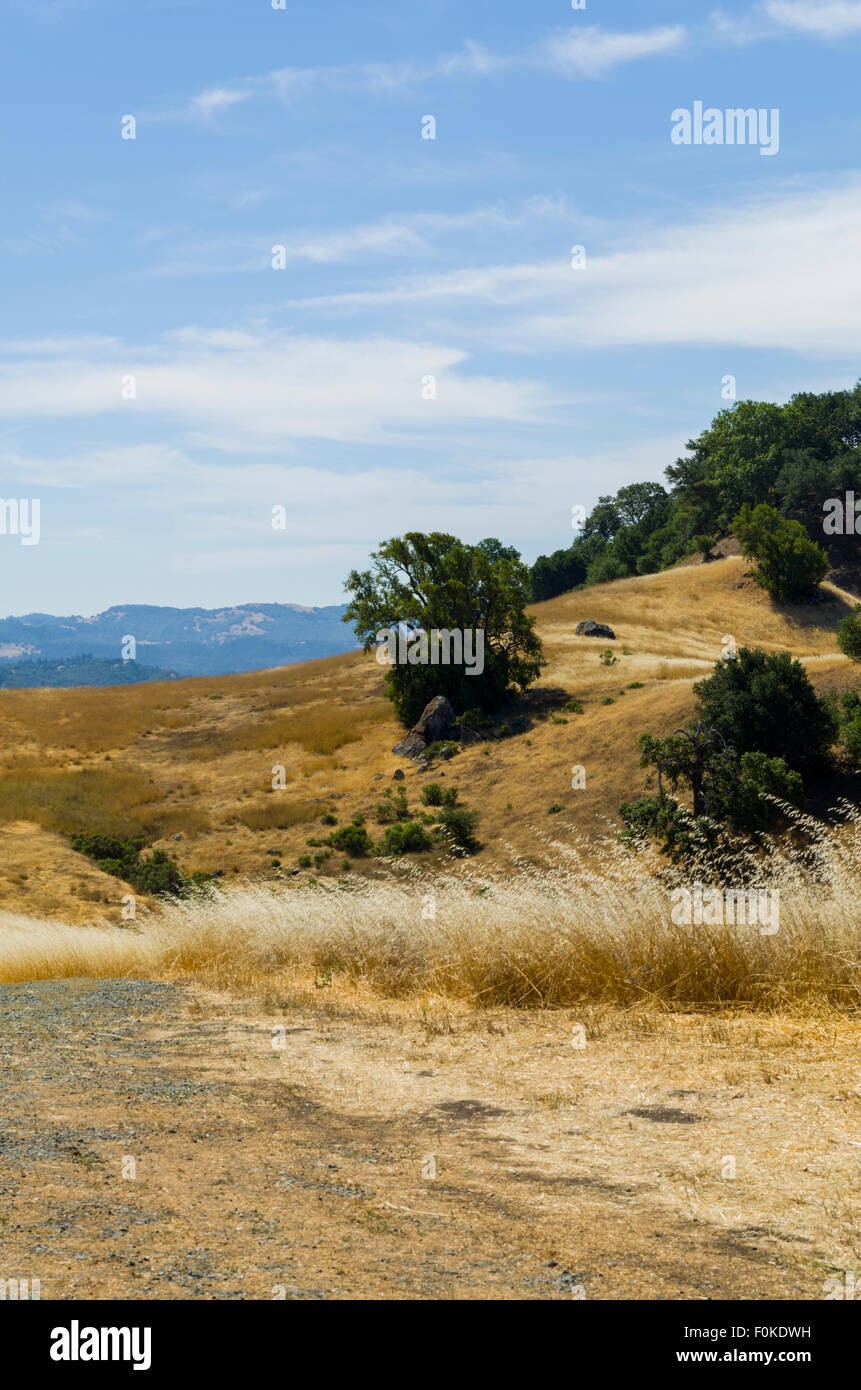 Pepperwood Presserve Santa Rosa and Healdsburg Sonoma County California ...