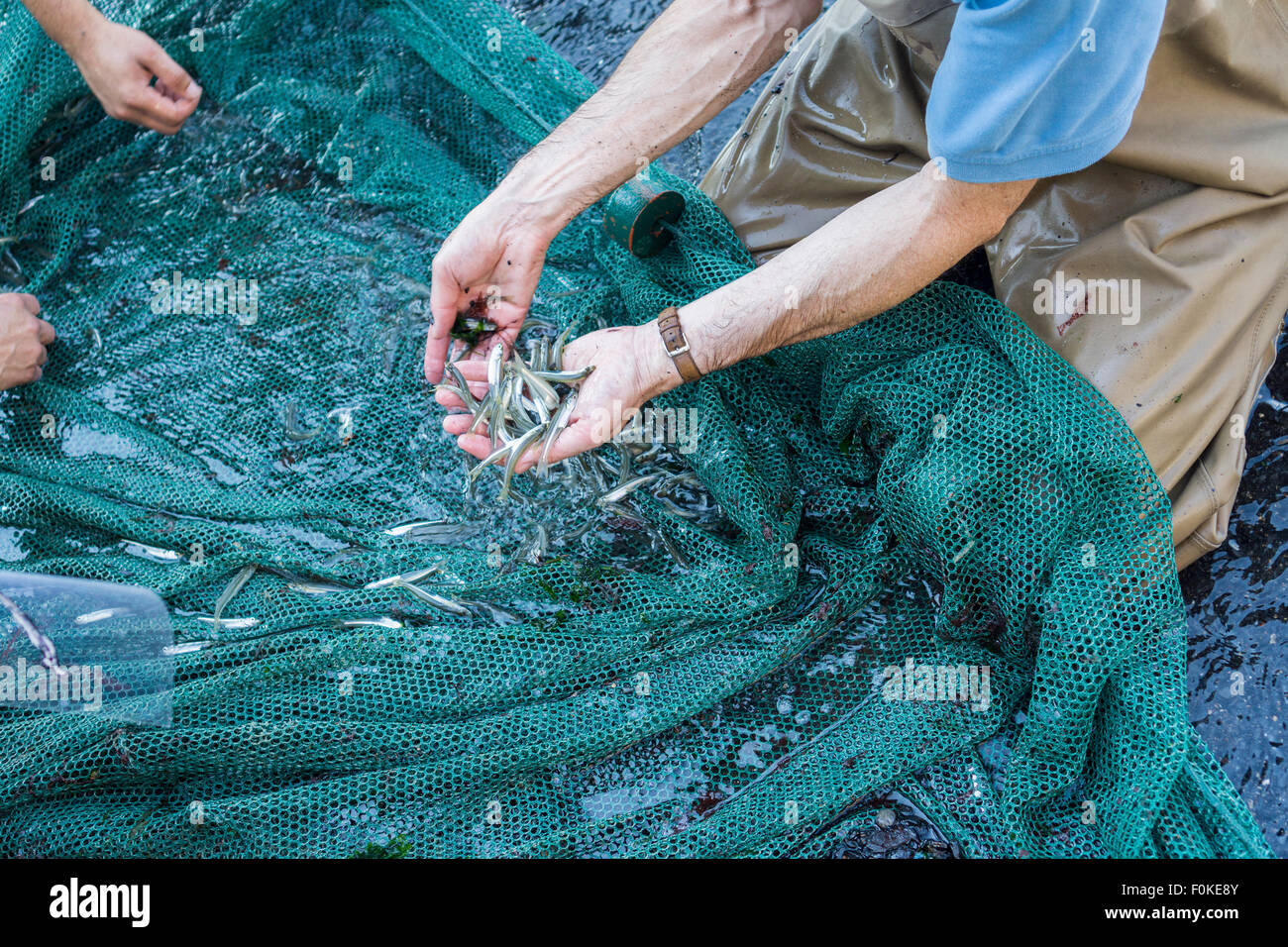 Seine netting hi-res stock photography and images - Alamy
