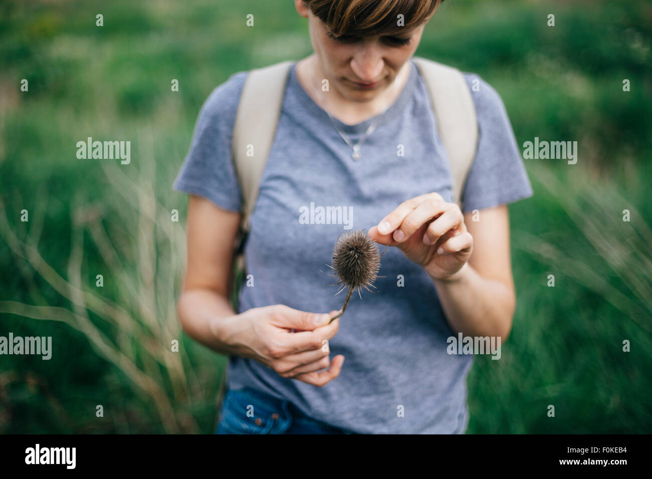 Woman thistle hi-res stock photography and images - Alamy