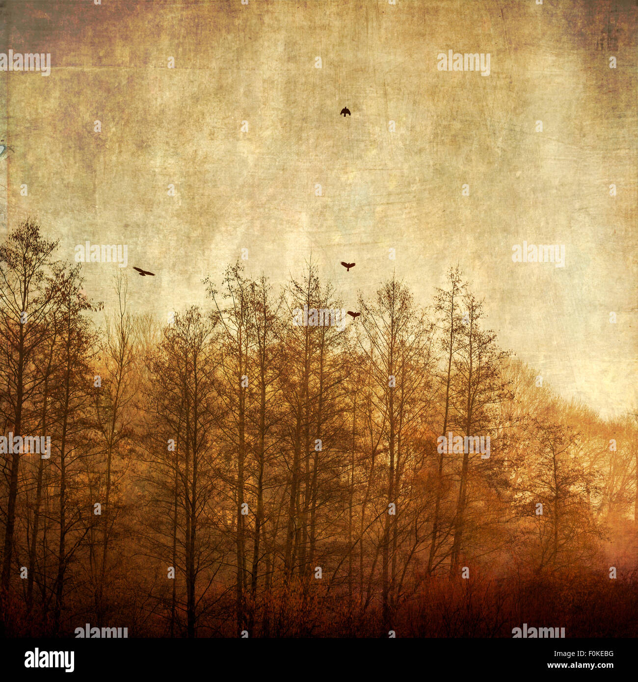 Light hi-res stock photography and images - Alamy