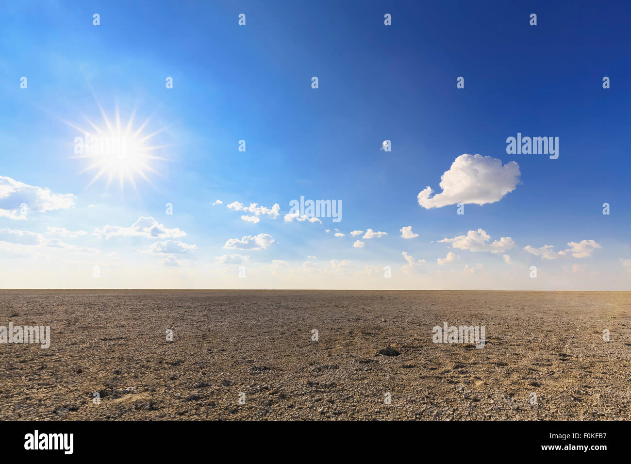 Namibia, Etosha National Park, view to Etosha pan Stock Photo - Alamy