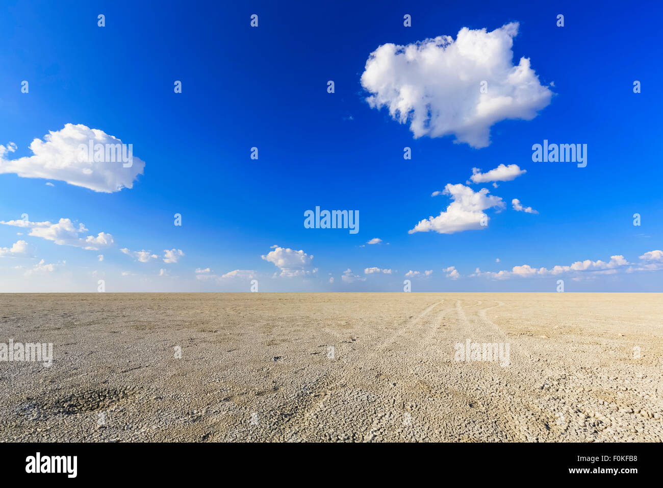 Namibia, Etosha National Park, view to Etosha pan Stock Photo - Alamy