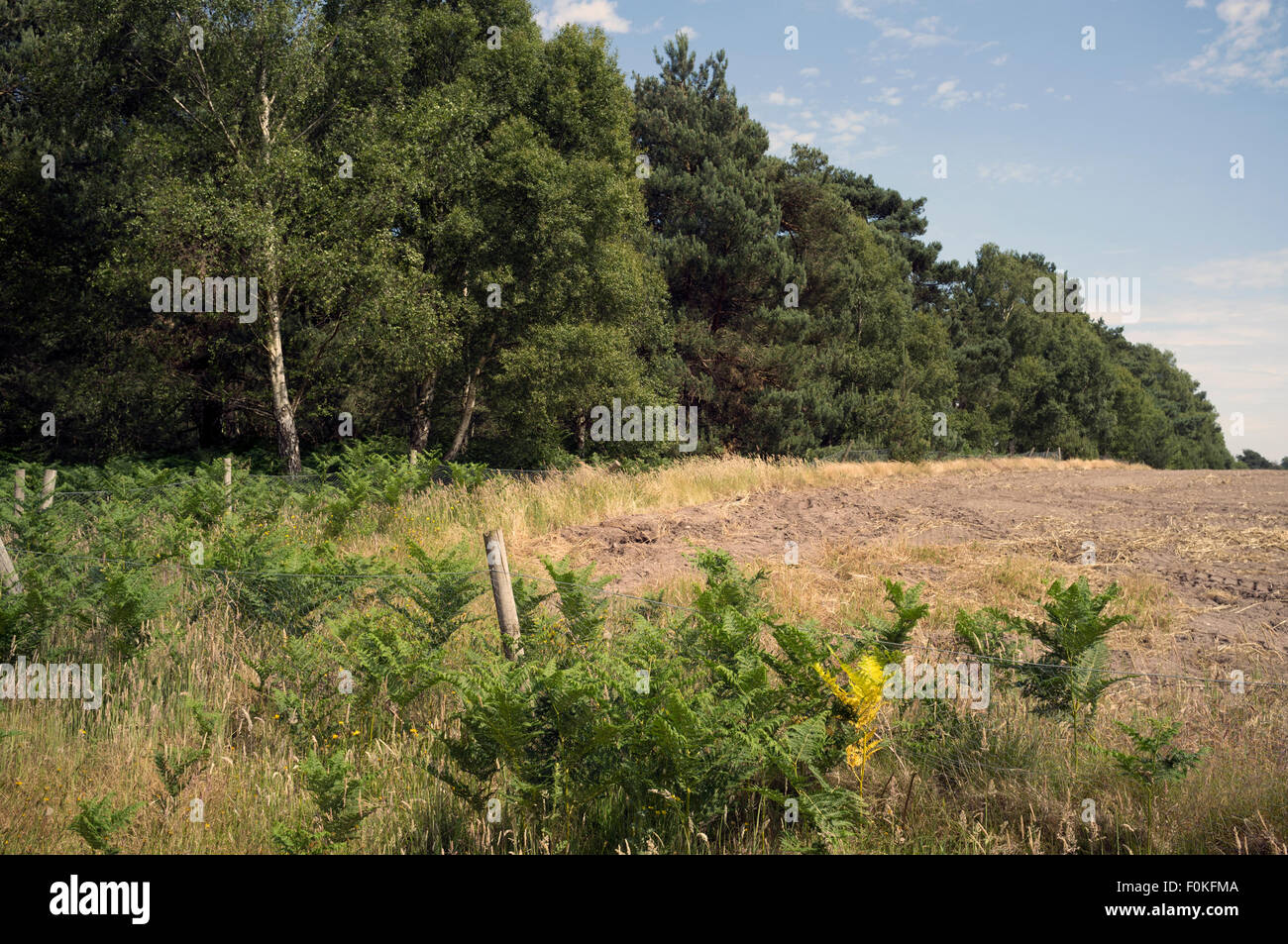 Agricultural farmland, Sutton Heath, Suffolk, UK Stock Photo - Alamy