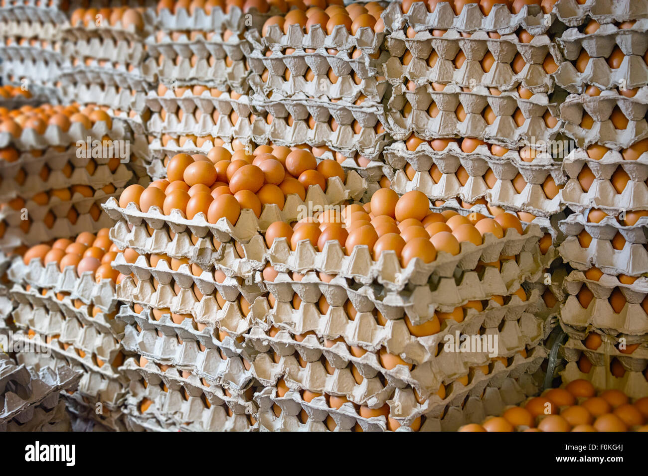 Many hundreds of fresh chicken eggs on display in trays at a public ...