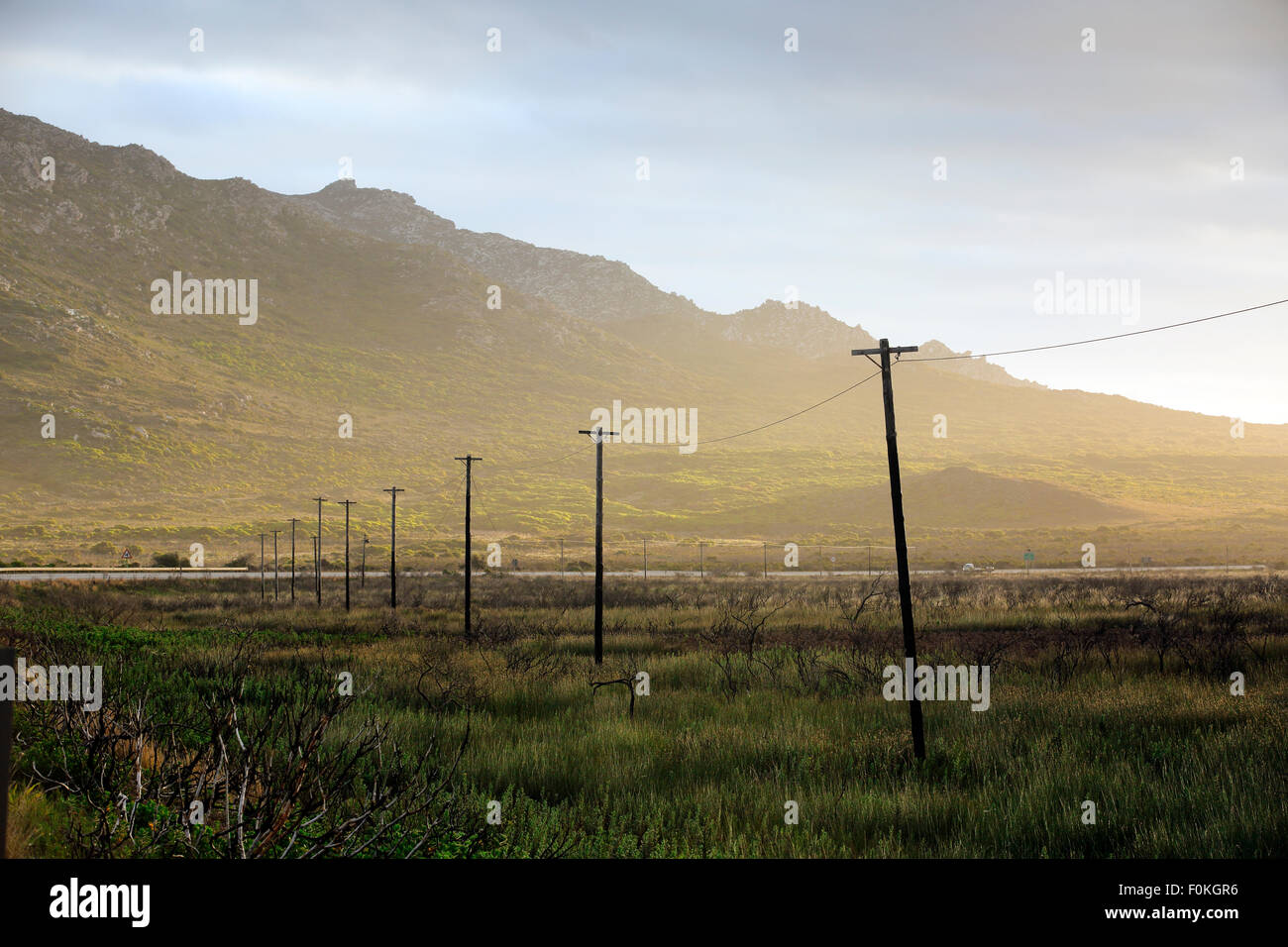 Wooden telegraph poles hi-res stock photography and images - Alamy