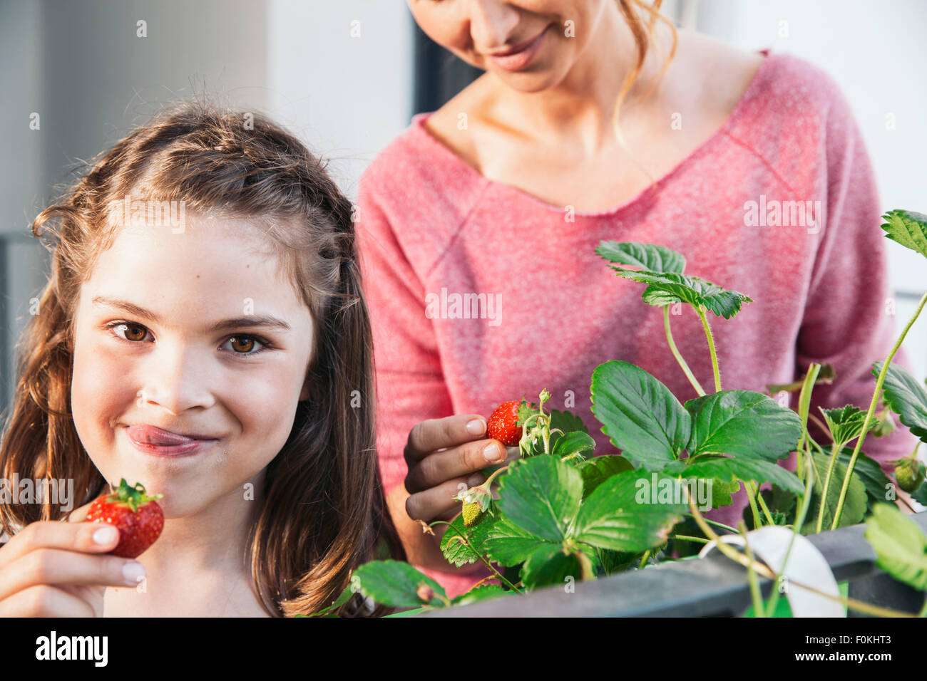 Portrait of little girl picking strawberries from balcony Stock Photo ...