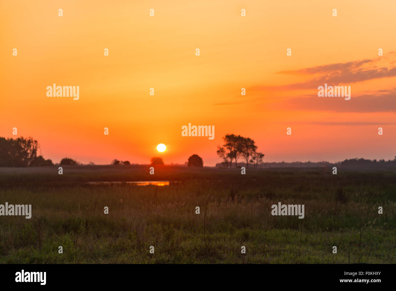 Summer landscape beautiful bright sunset over the meadow and forest on ...