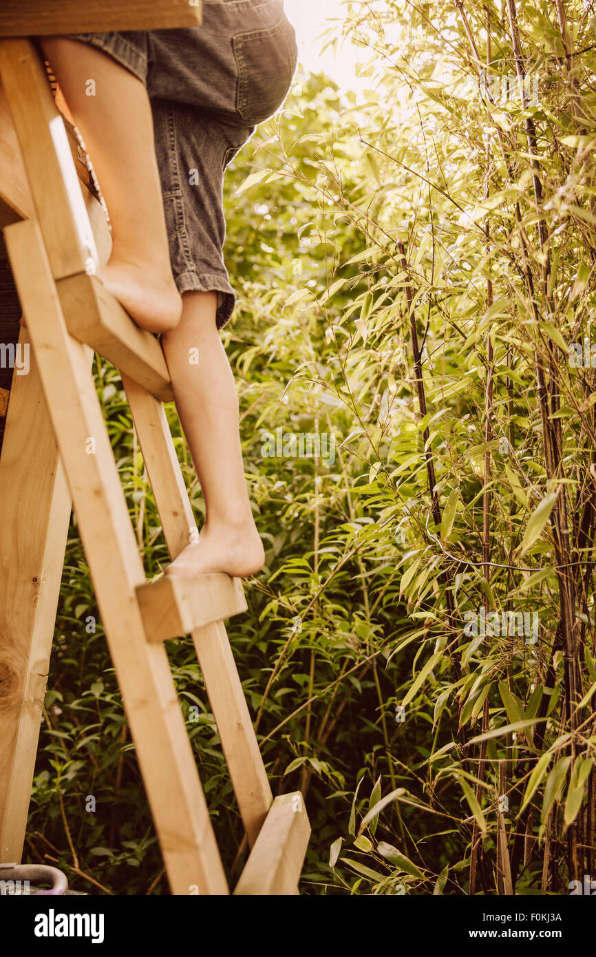 Person up ladder hi-res stock photography and images - Alamy