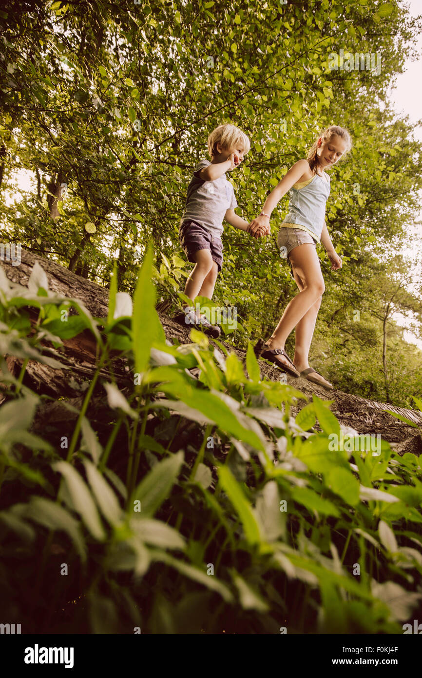 Little boy and girl balancing on fallen tree in forest Stock Photo - Alamy