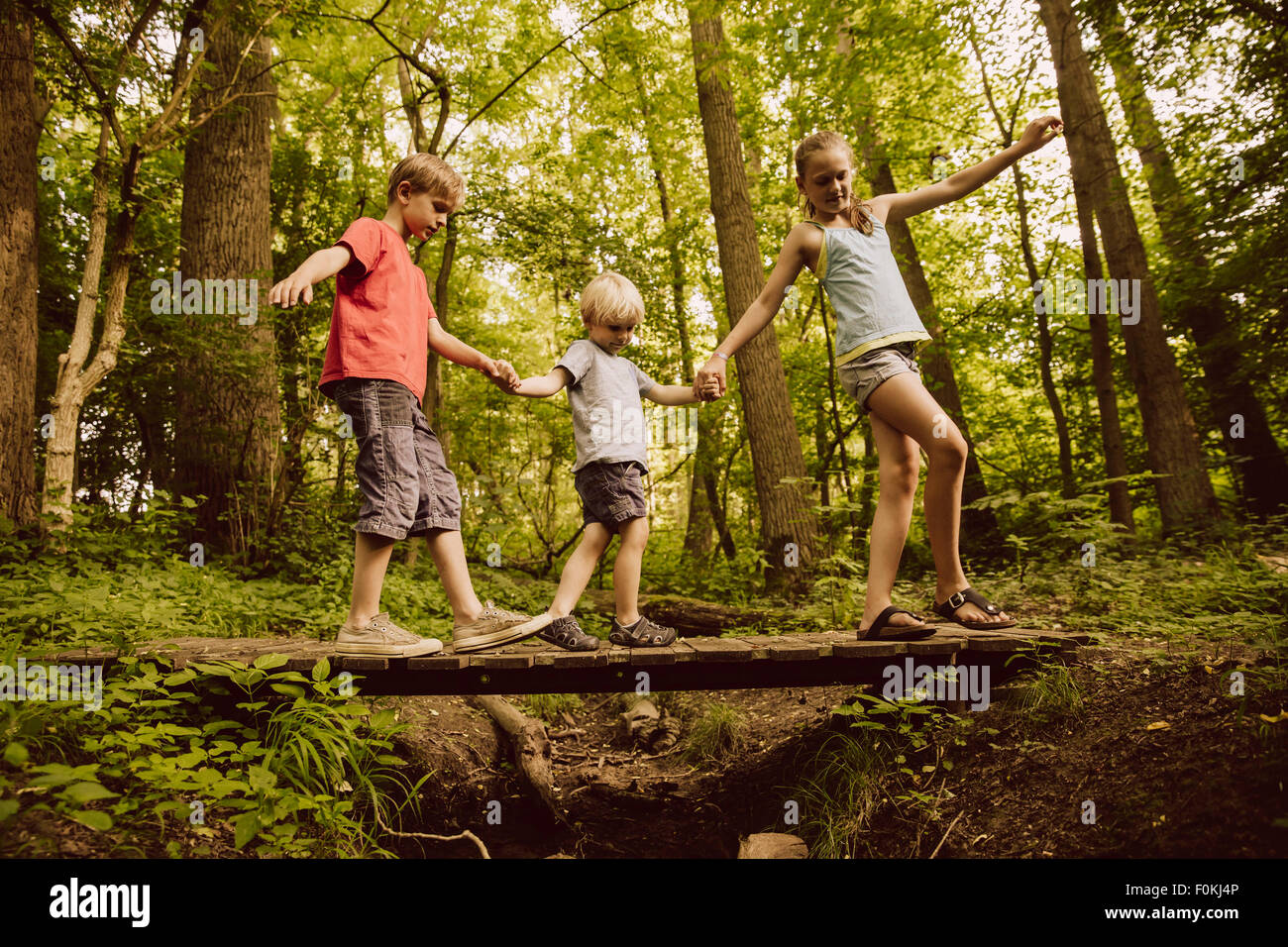 Three children balancing along a small bridge in forest Stock Photo - Alamy