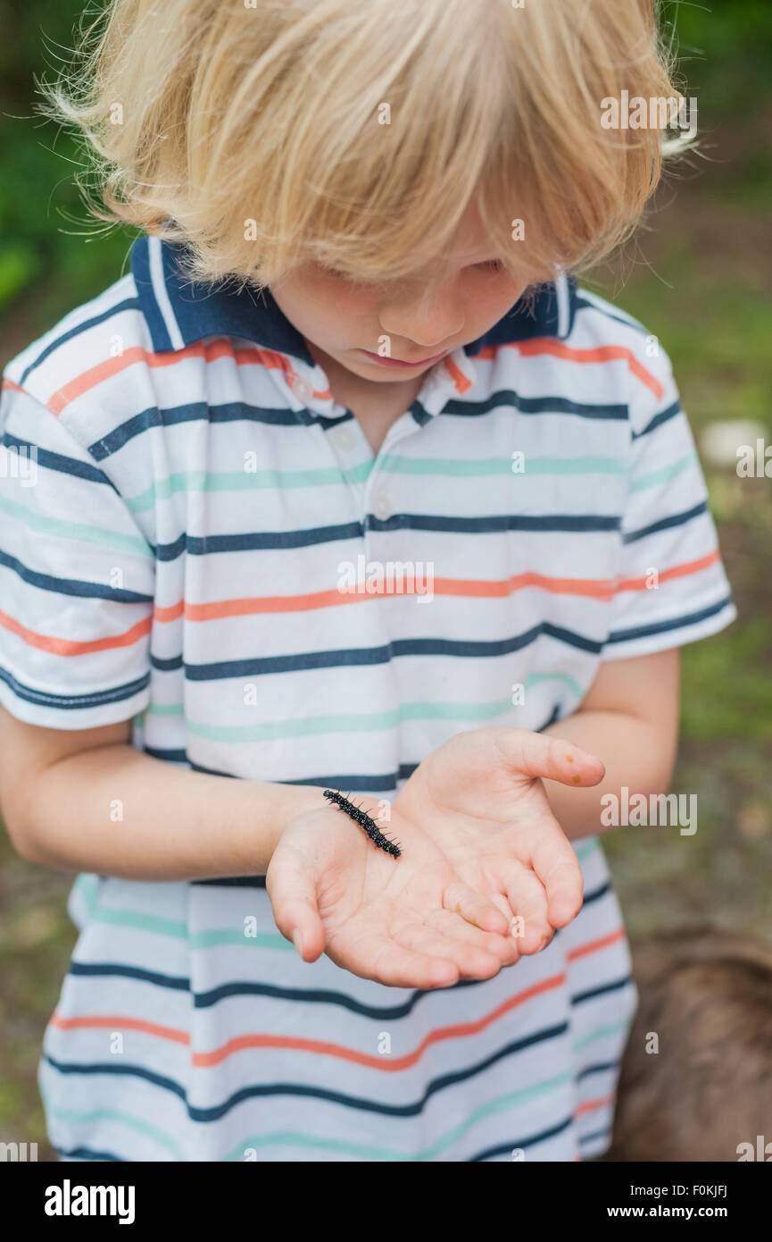 Germany, Little boy looking at caterpillar of peackock butterfly Stock ...