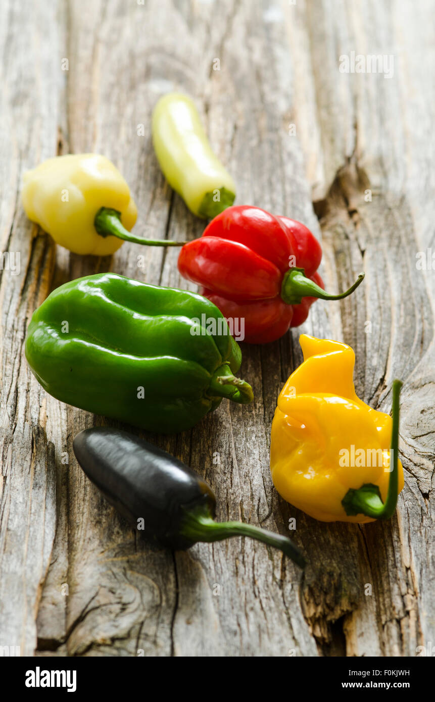 Different hot chili peppers Stock Photo - Alamy