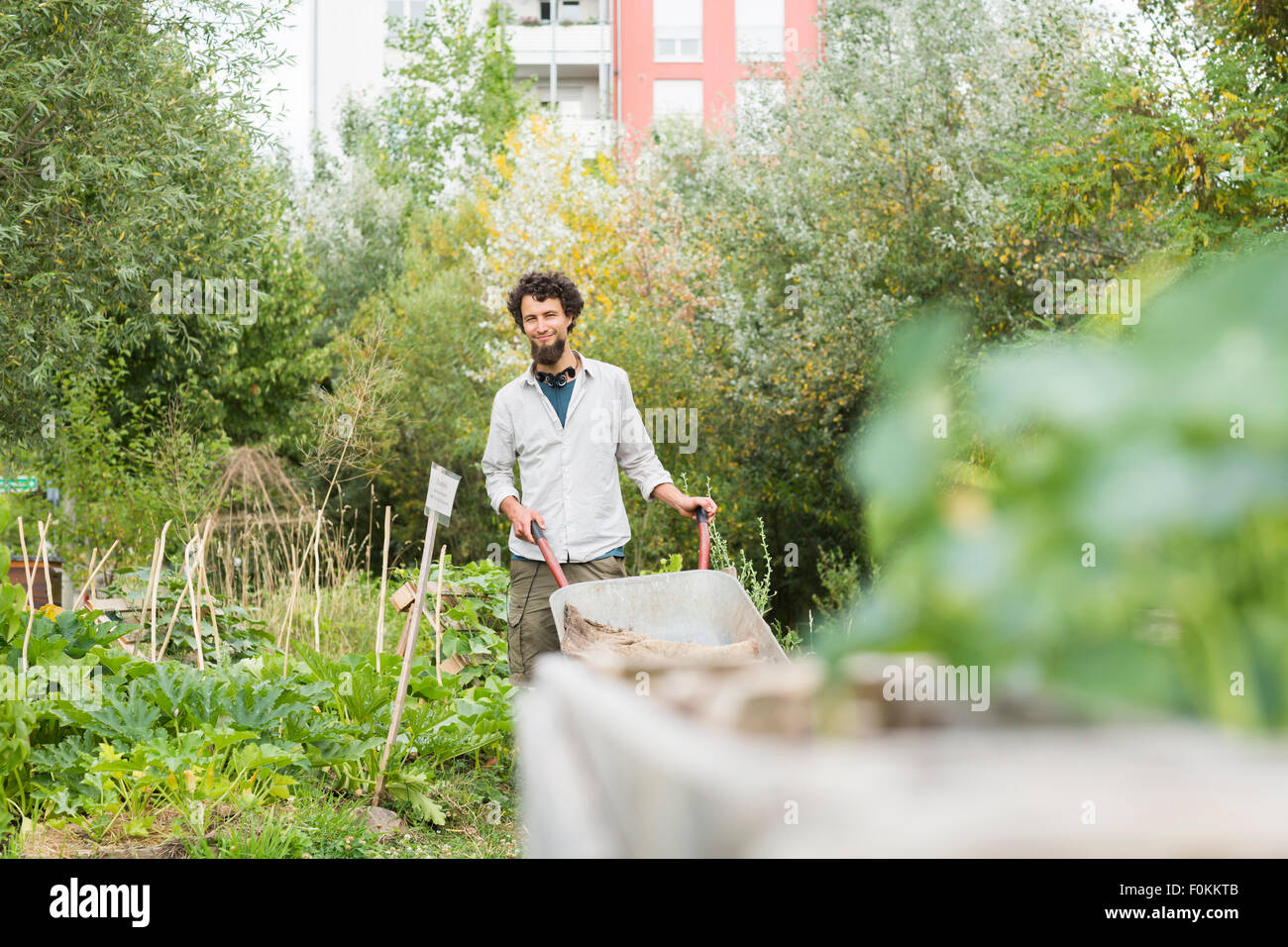 Young man with wheelbarrow in an urban garden Stock Photo - Alamy