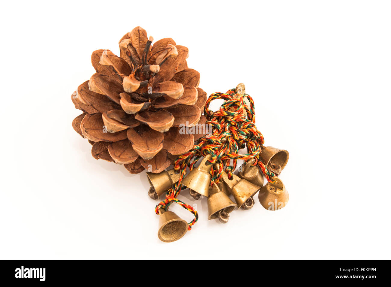 Orange pinecone Cut Out Stock Images & Pictures - Alamy
