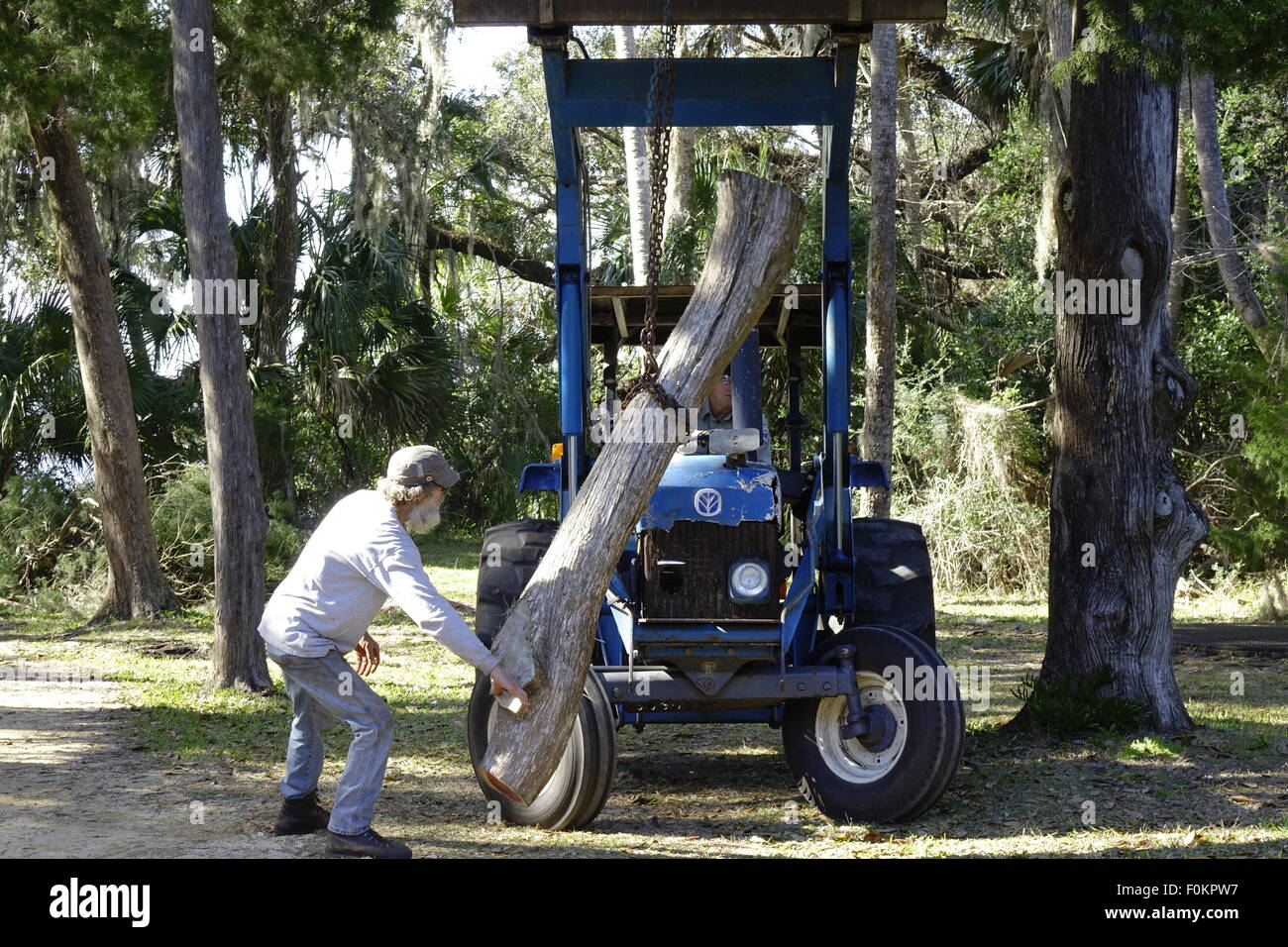 Men hauling a large wood log using a tractor Stock Photo - Alamy