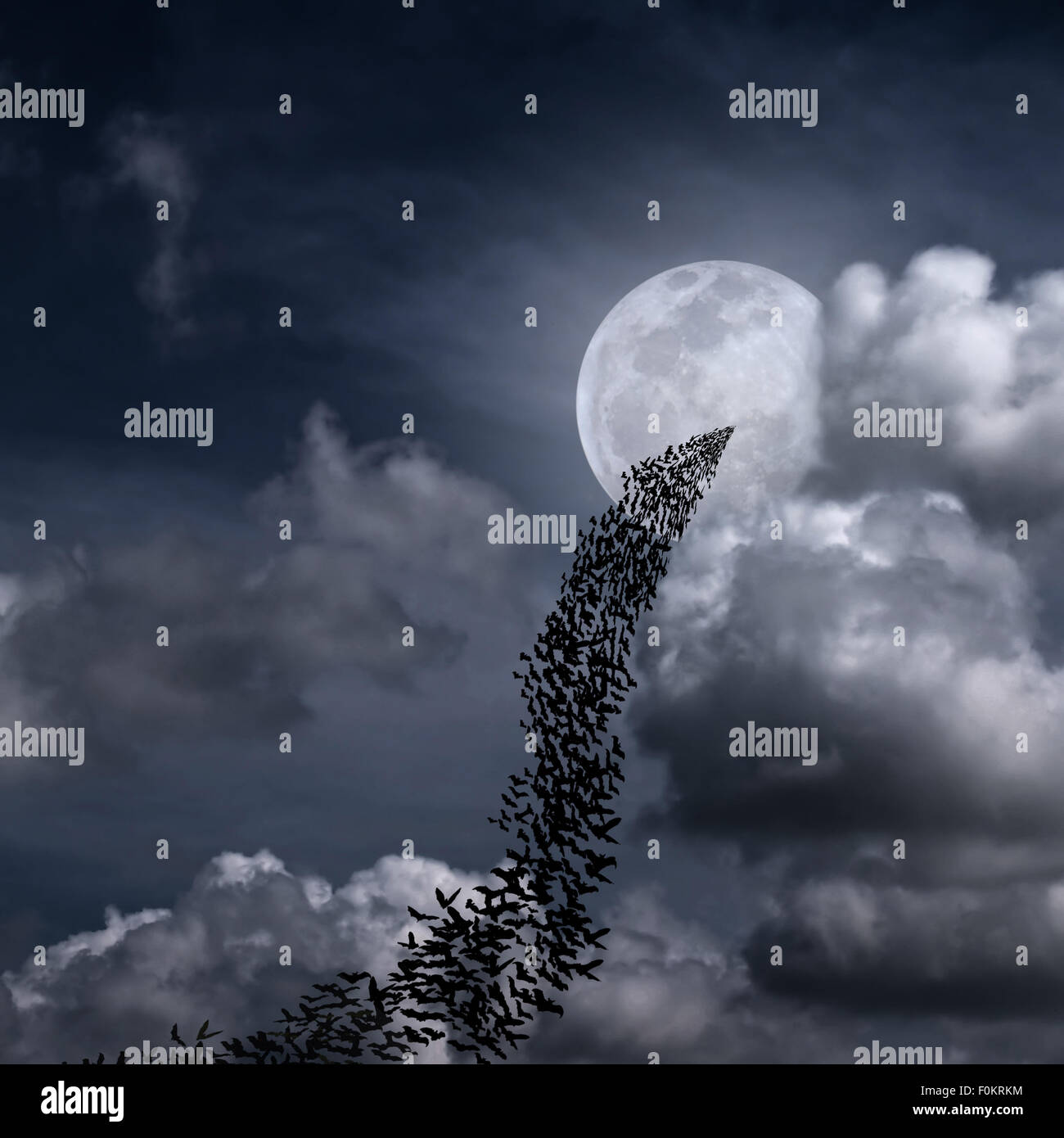 Bats flying to full moon and fantasy cloudy sky Stock Photo - Alamy